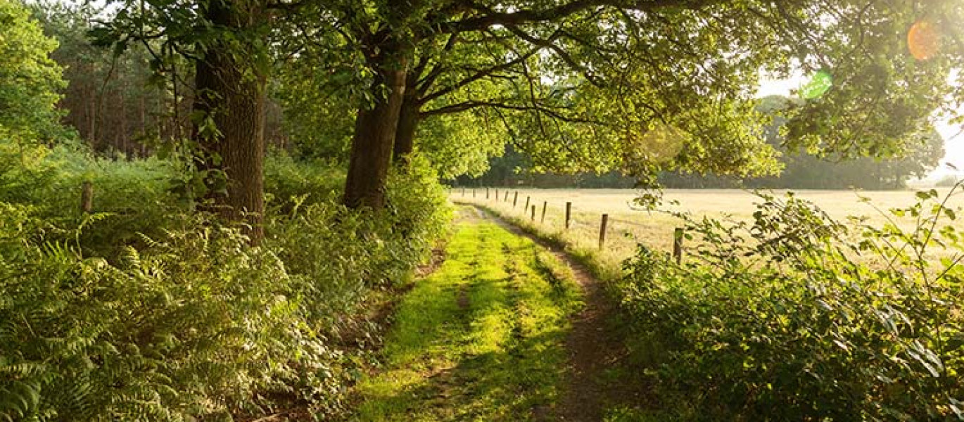 Projet de refonte du dispositif de zone de revitalisation rurale.